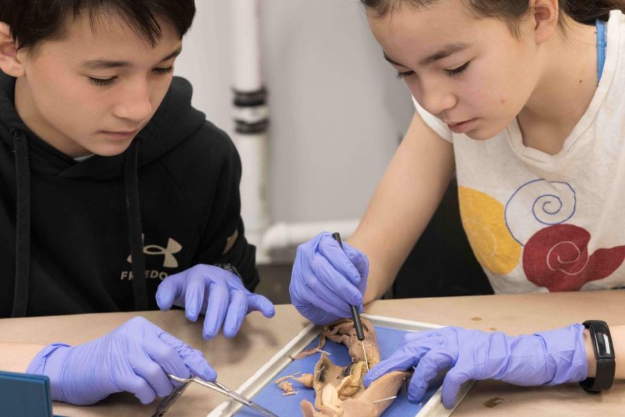 Compass Homeschool Classes